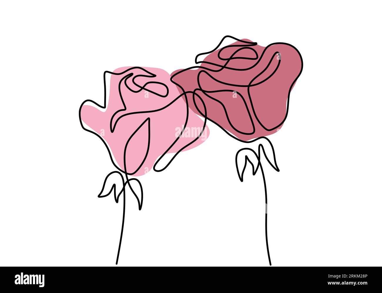 Rose line art drawing, continuous hand drawn minimalist flowers. Two ...