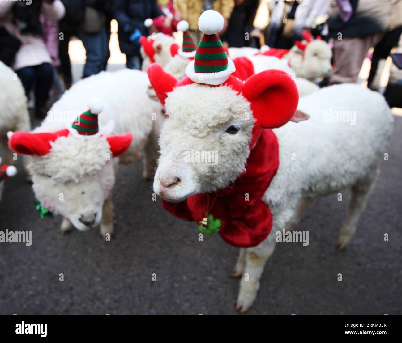 Santa claus poses for photos hi-res stock photography and images - Alamy