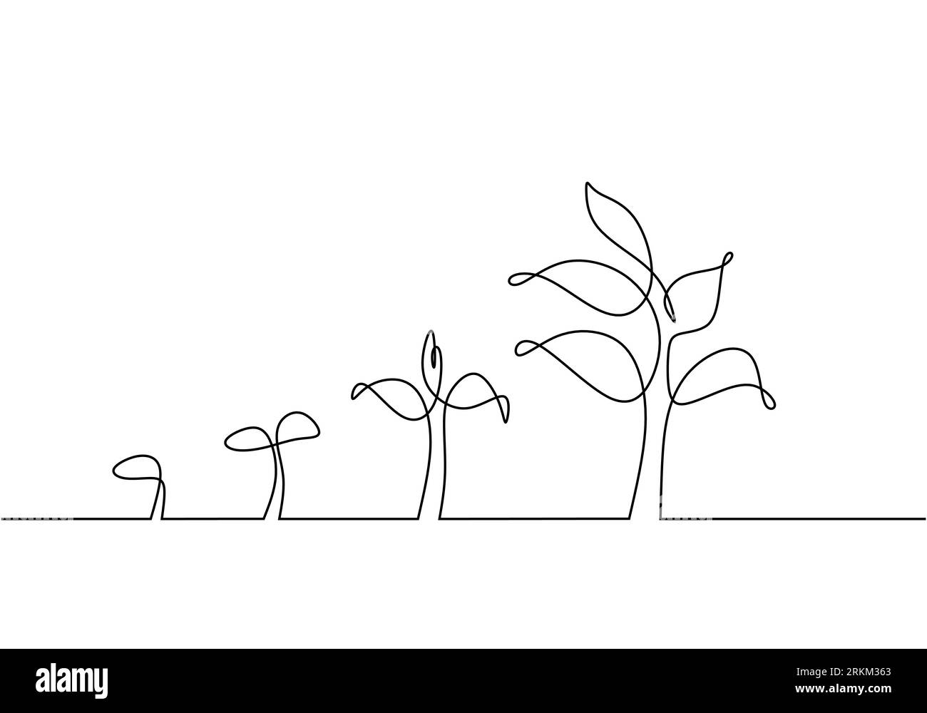 Growing plant Black and White Stock Photos & Images - Alamy