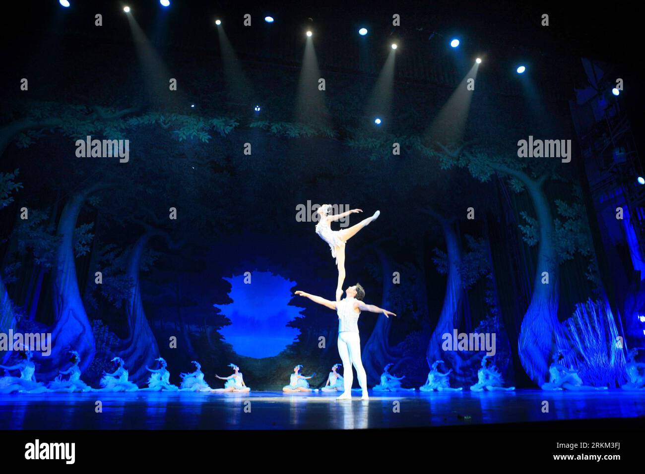 Swan show 2004 hi-res stock photography and images - Alamy