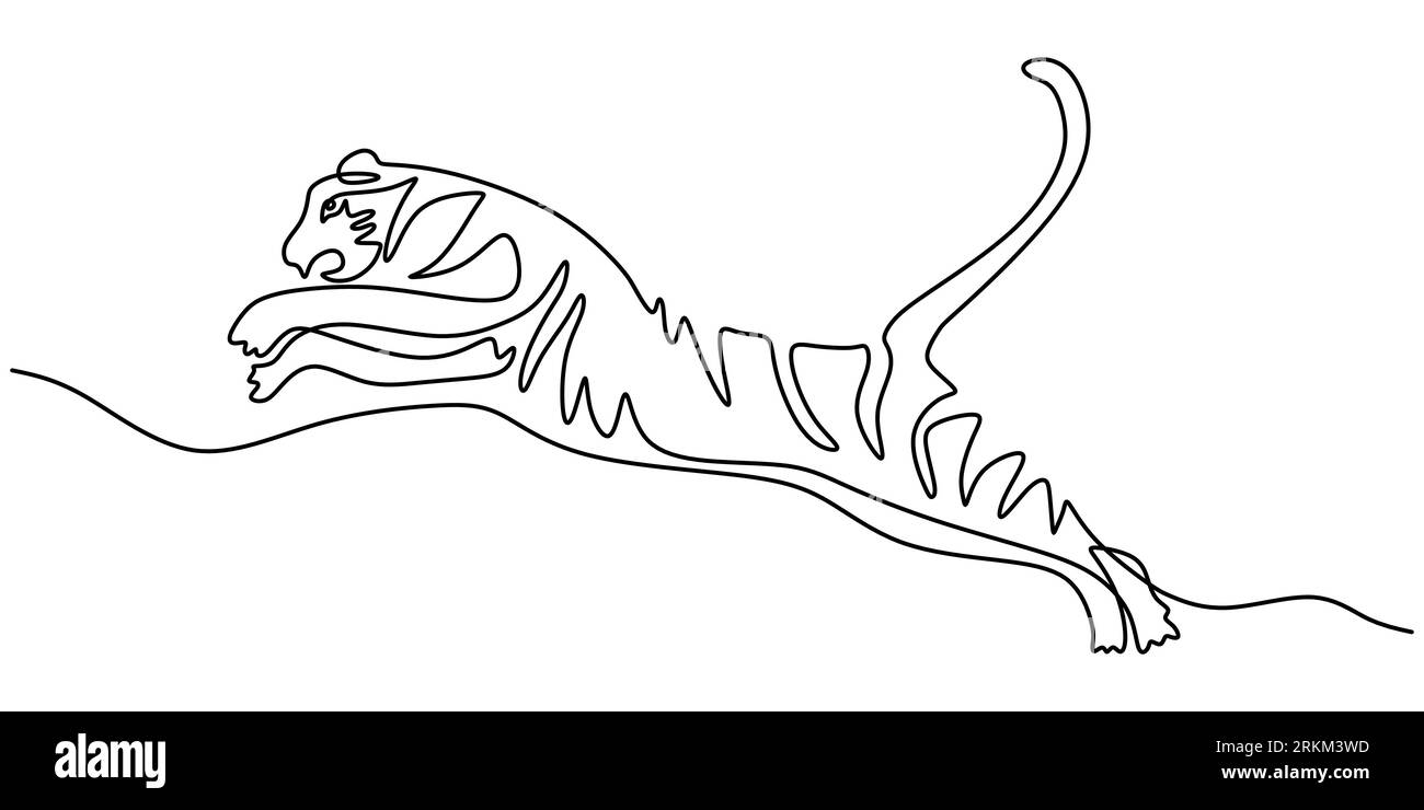 Continuous one line drawing of big Tiger jumping Stock Vector Image & Art - Alamy