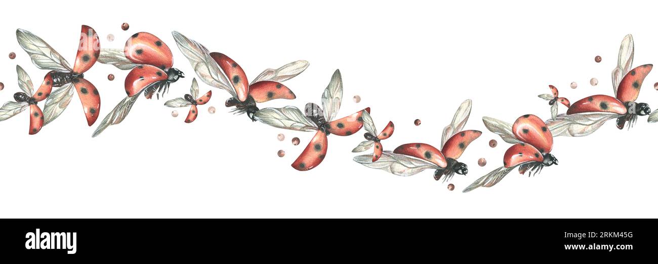 Red ladybugs with black dots flying with berries. watercolor ...