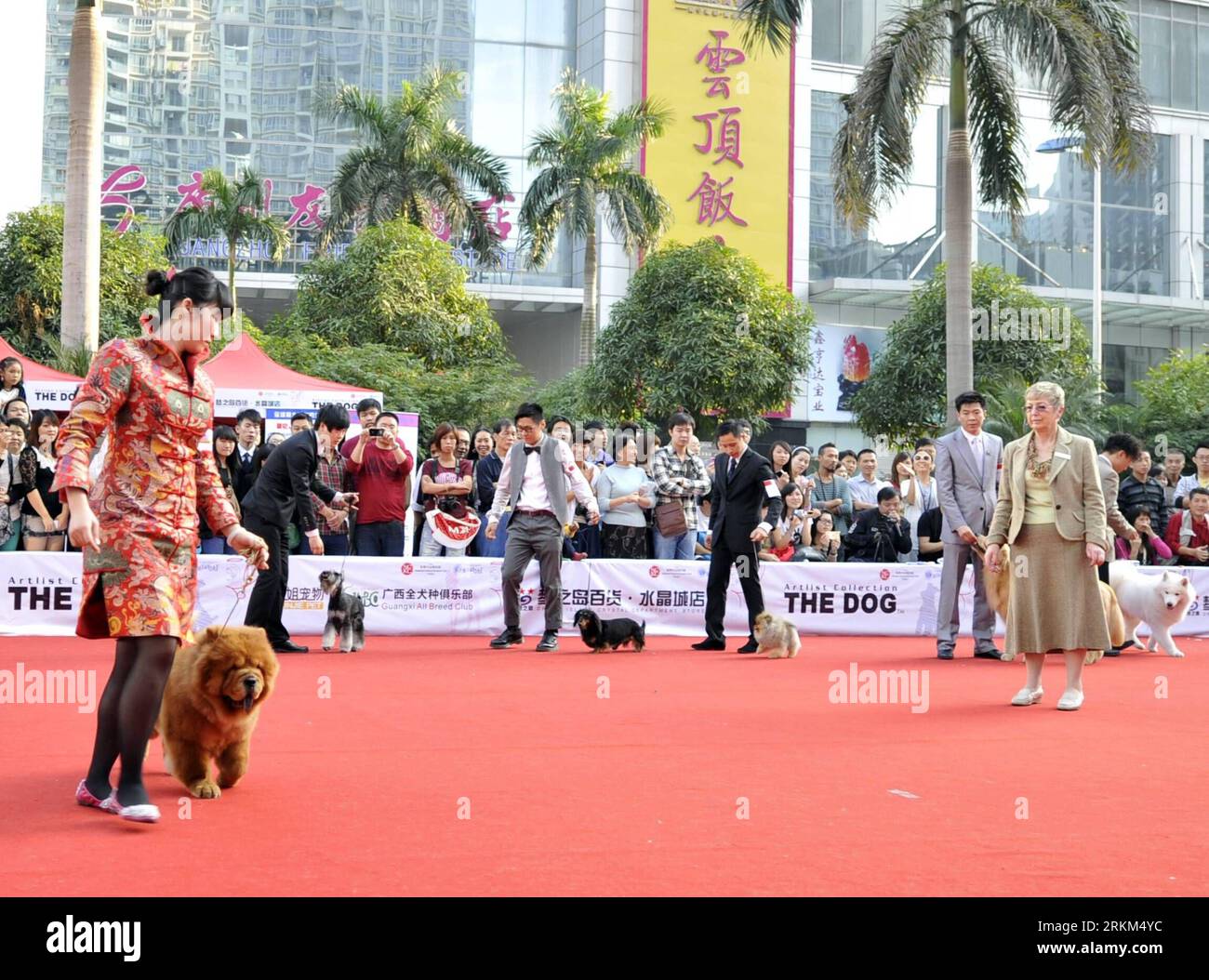 From the dogs level hi-res stock photography and images - Alamy