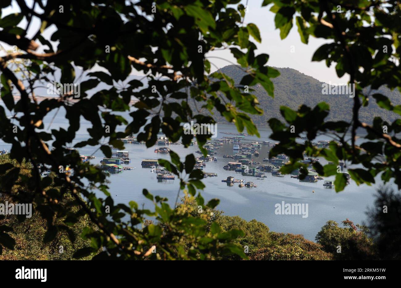 Ma shi chau in hong kong hi-res stock photography and images - Alamy