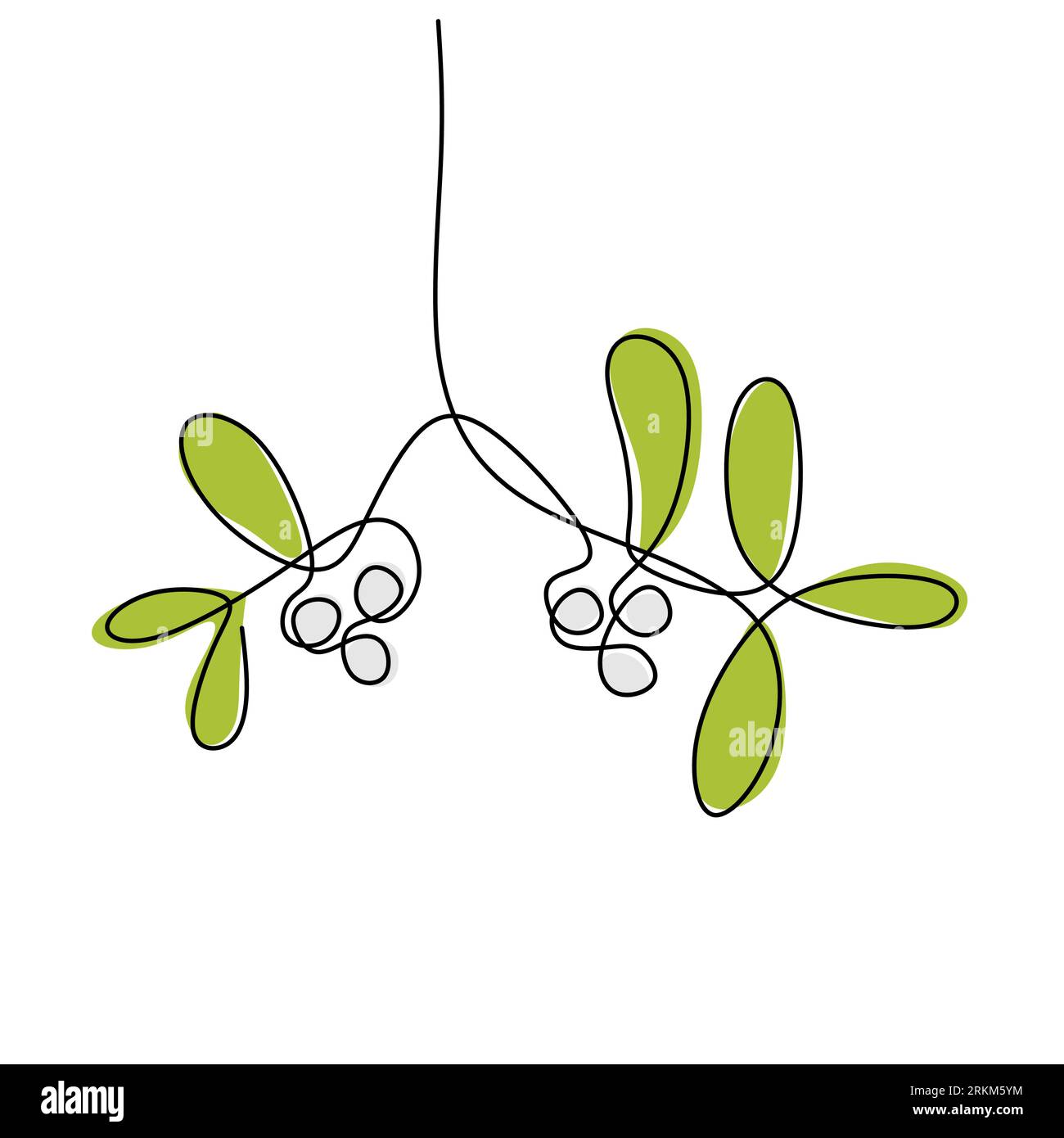 Continuous one single line of mistletoe winter flower isolated on white ...