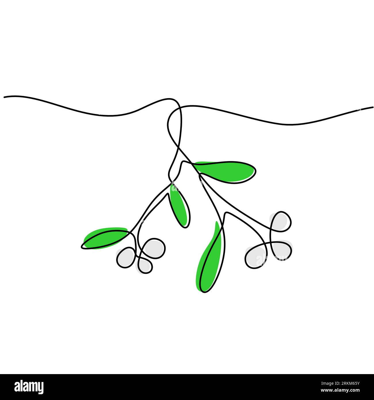 Continuous one single line of mistletoe winter flower isolated on white ...