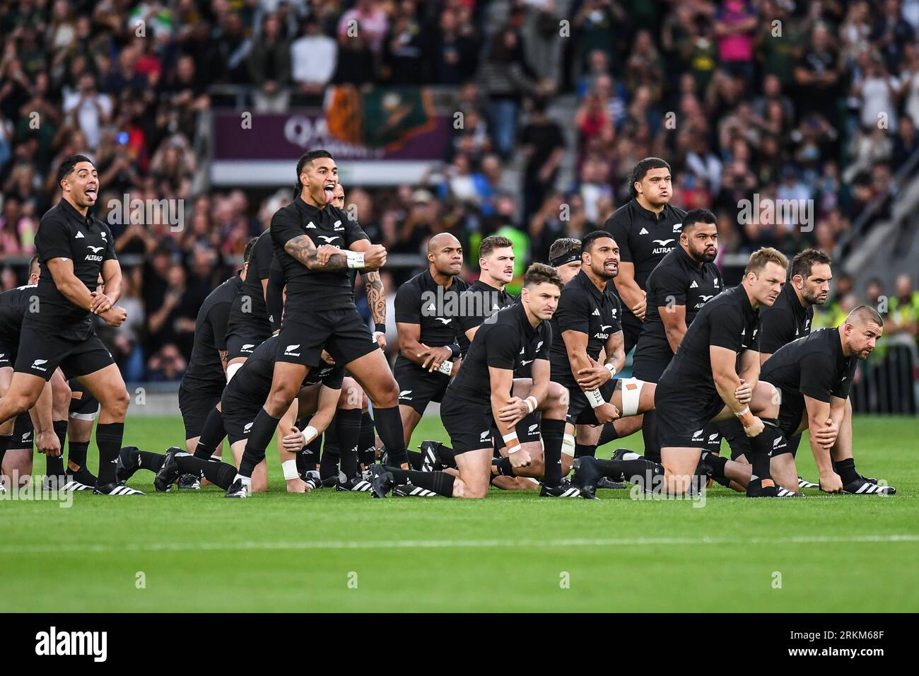 New Zealand perform the Haka ahead of the International match South ...