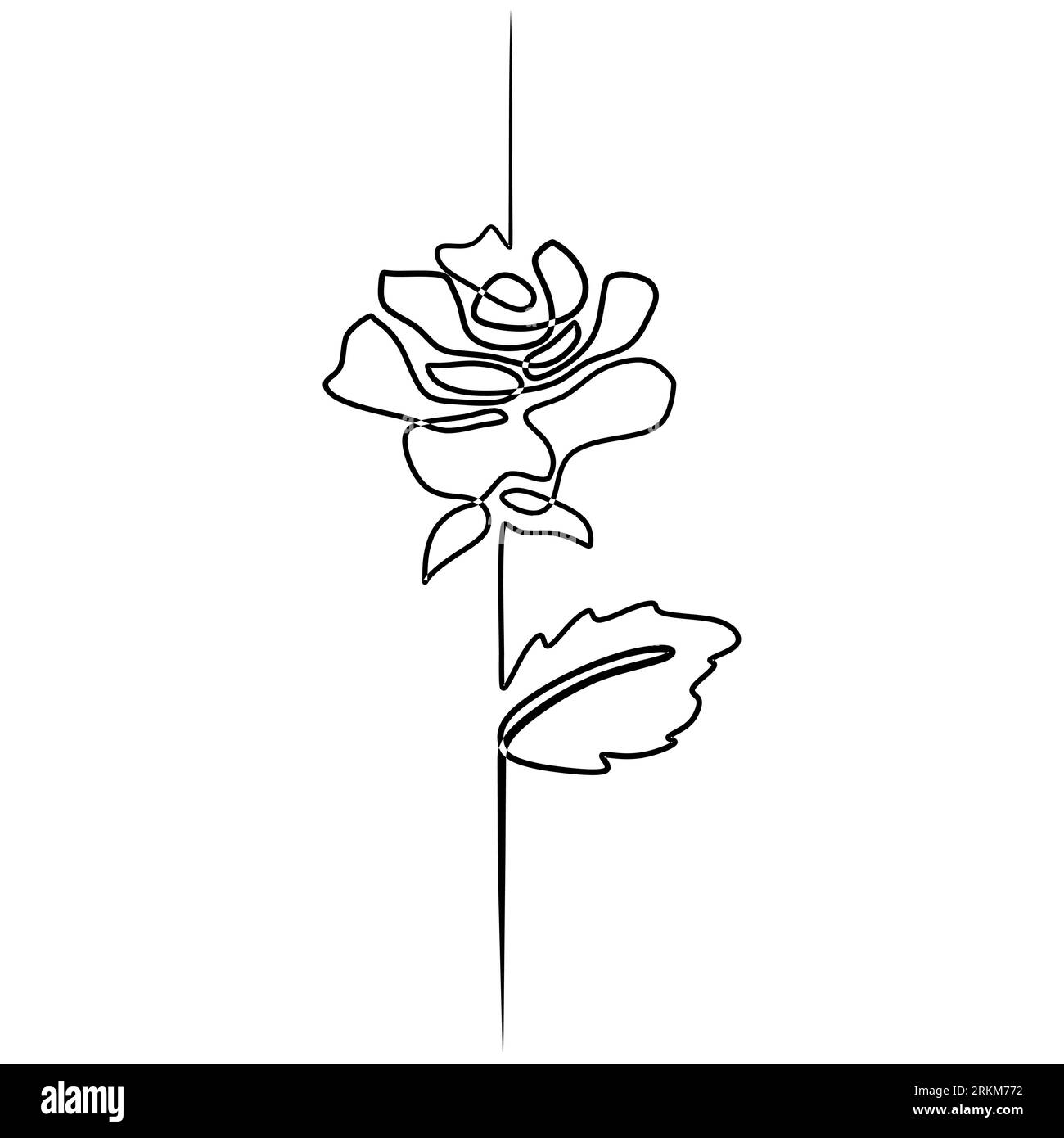 One line rose design. Hand drawn minimalism style vector illustration ...