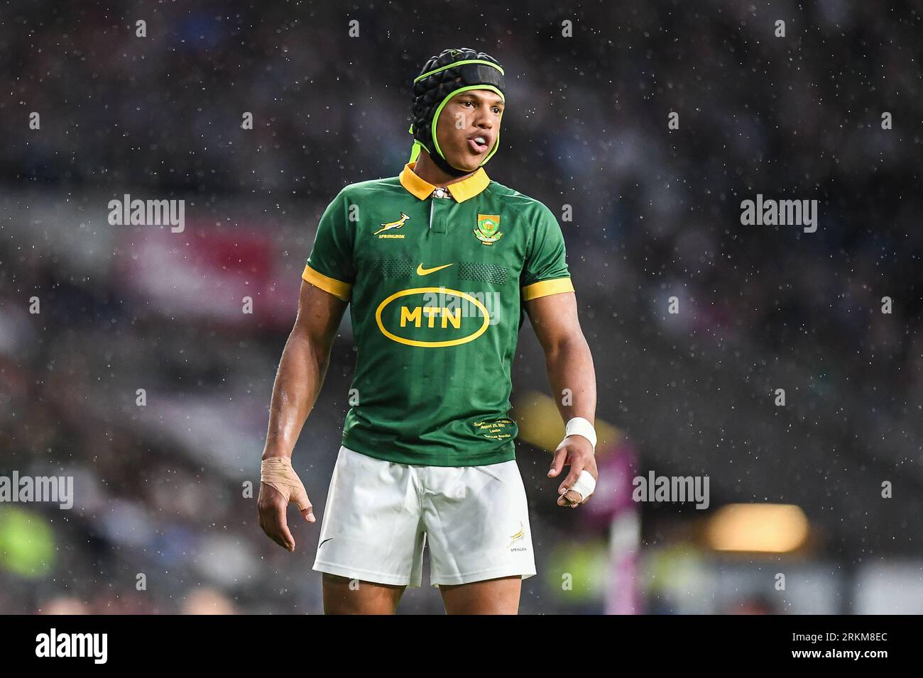 Arendse august 2023 new zealand hi-res stock photography and images - Alamy