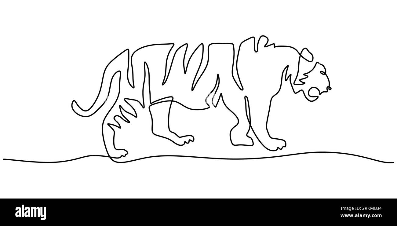 Continuous one line drawing of big Tiger isolated on white background Stock Vector Image & Art ...