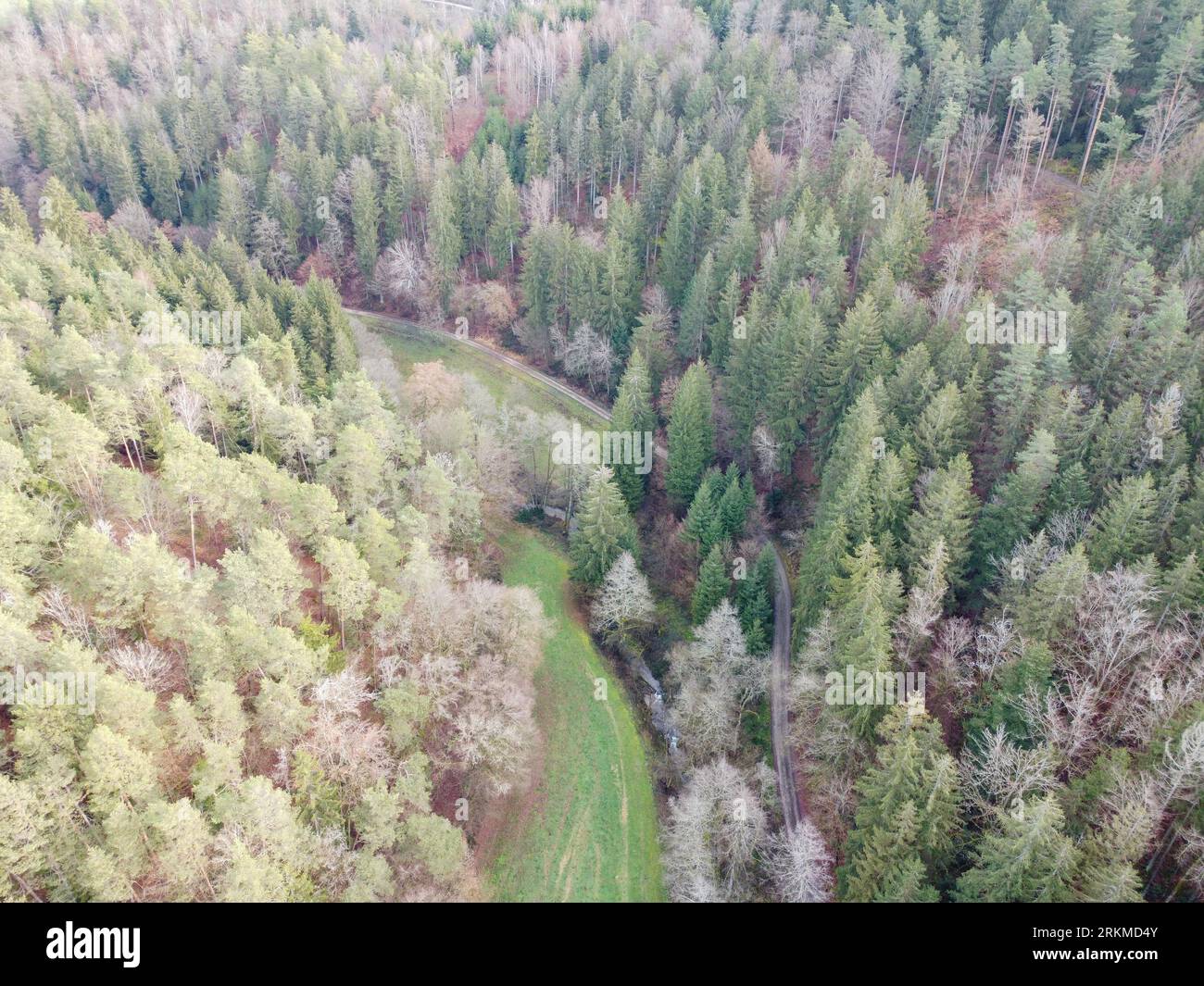 aerial photo of the forest in bavaria with dense needle trees and ...