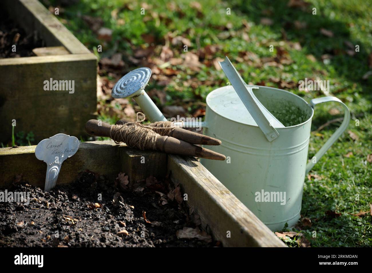 Preparations to plant out a row of carrots in a raised bed Stock Photo ...