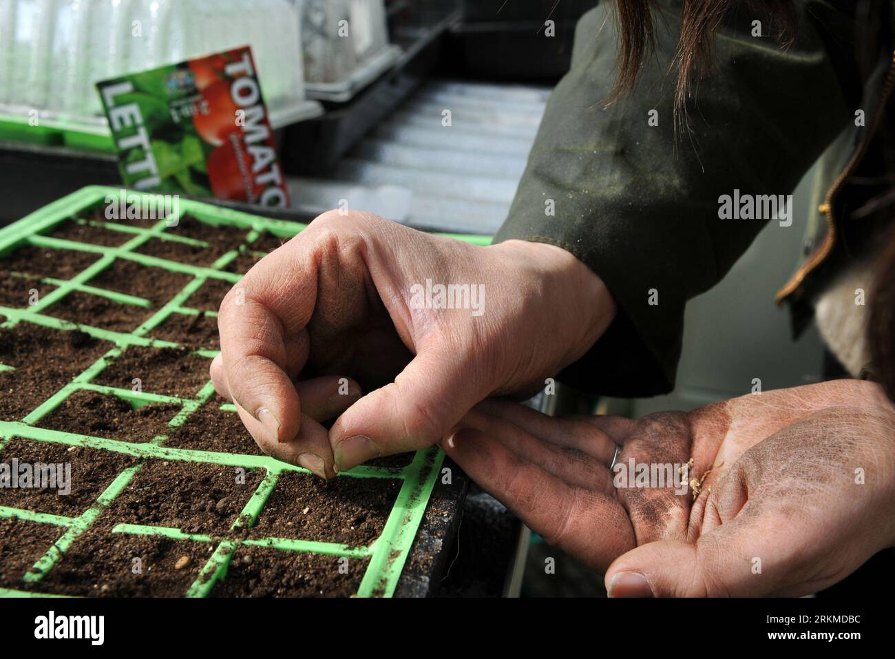 Sowing seed modules hi-res stock photography and images - Alamy