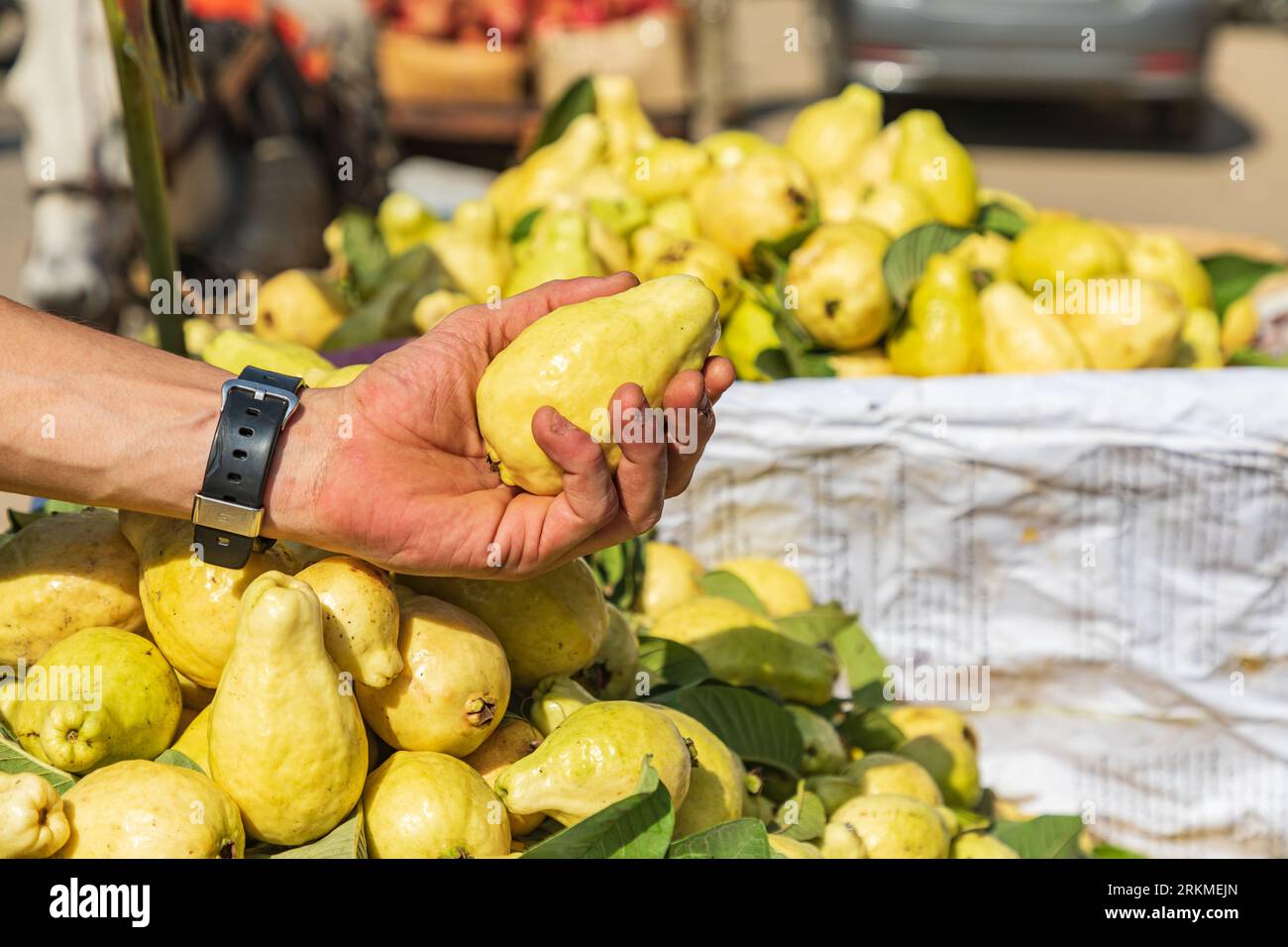 Cairo, Egypt, Africa. Street market. Guavas for sale at an outdoor ...