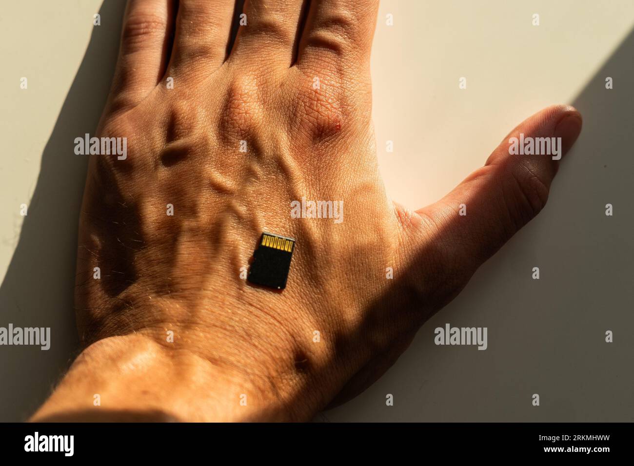 SD card Or memory card in hand concept of technology and in form of ...