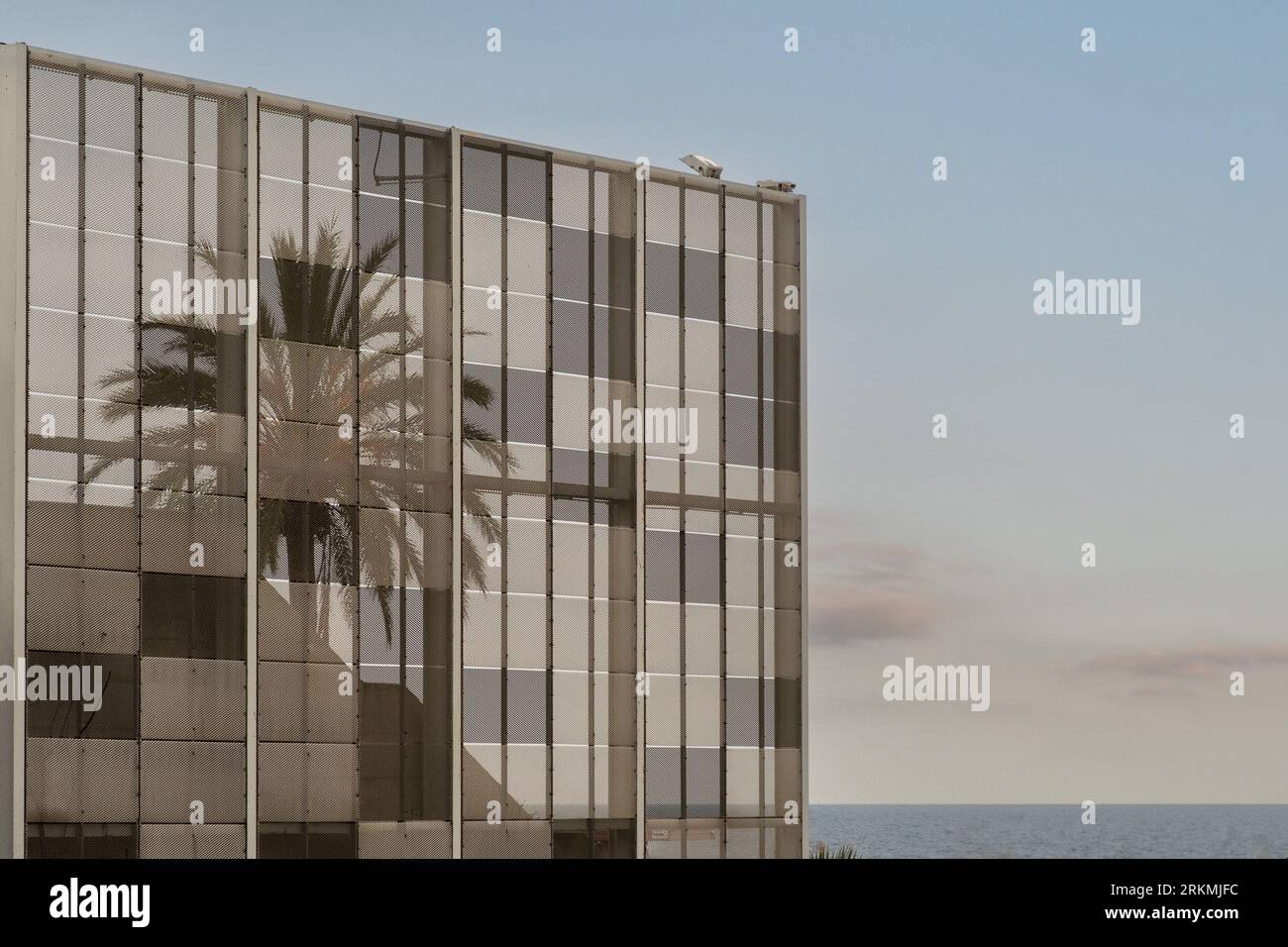 The architectural screen of an exterior staircase with a palm tree ...