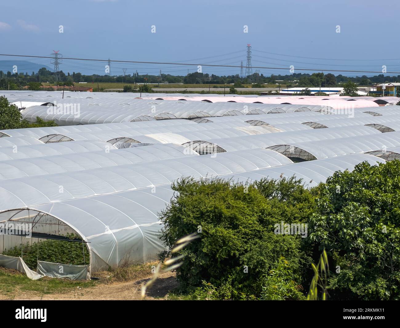 Vegetable cultivation method hi-res stock photography and images - Alamy