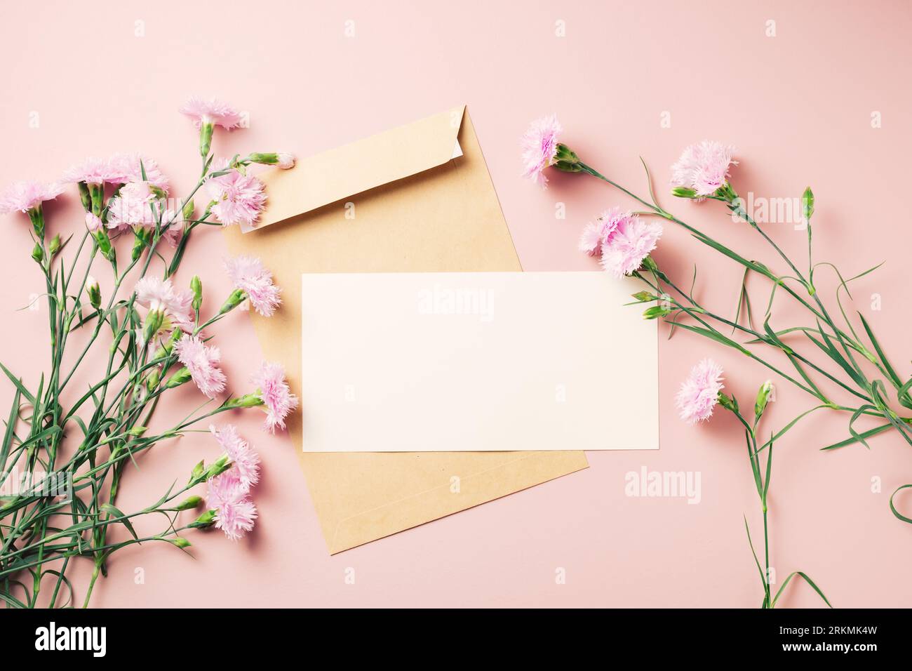 Blank greeting card and beautiful carnation flowers on the pink ...