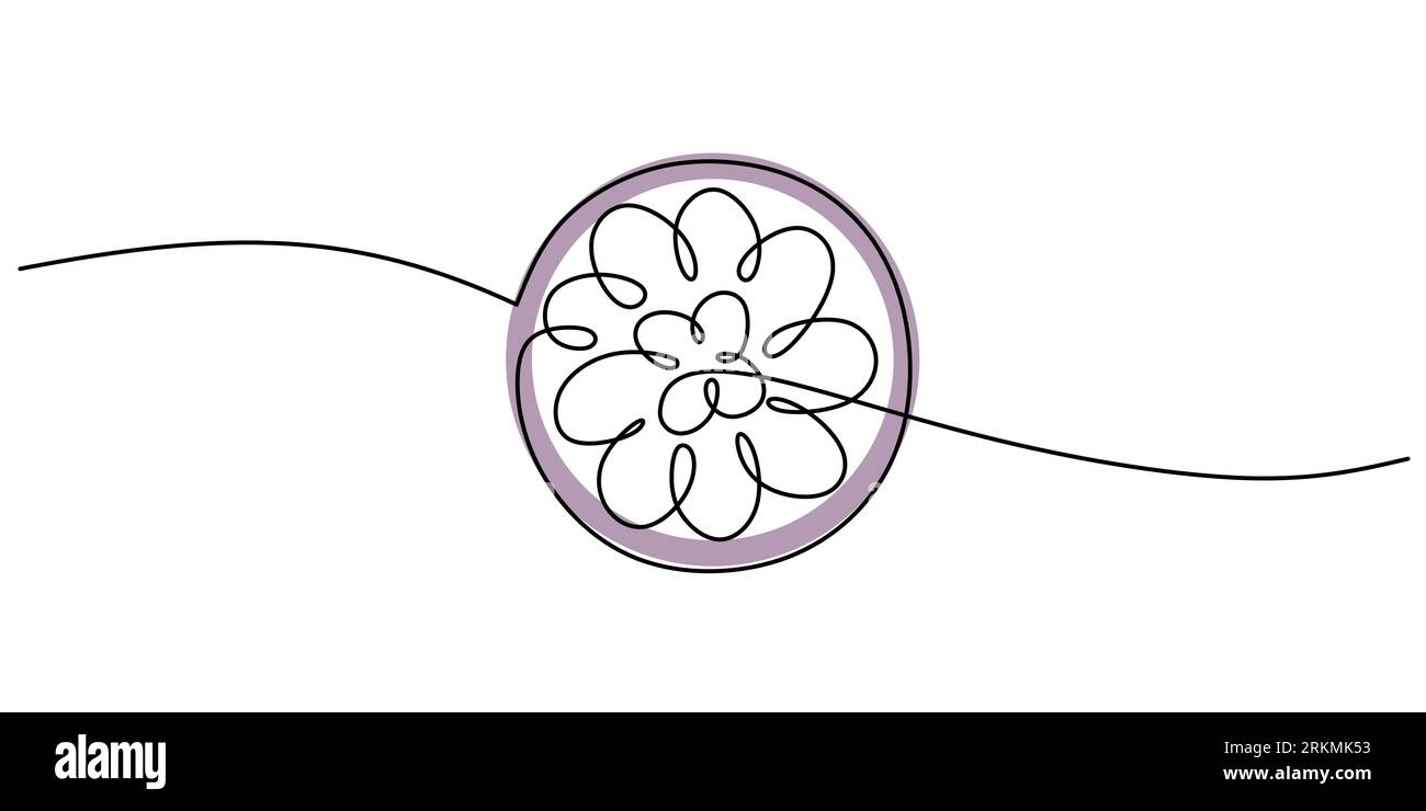 Continuous one single line of rainbow succulent plant isolated on white ...