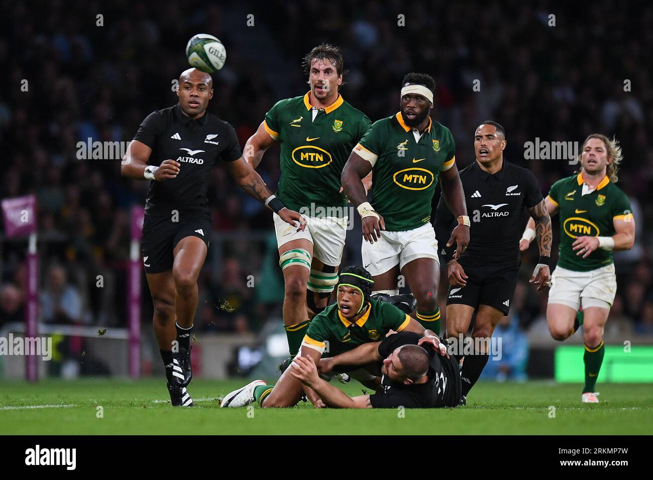 Tyrel lomax rugby world cup hi-res stock photography and images - Alamy