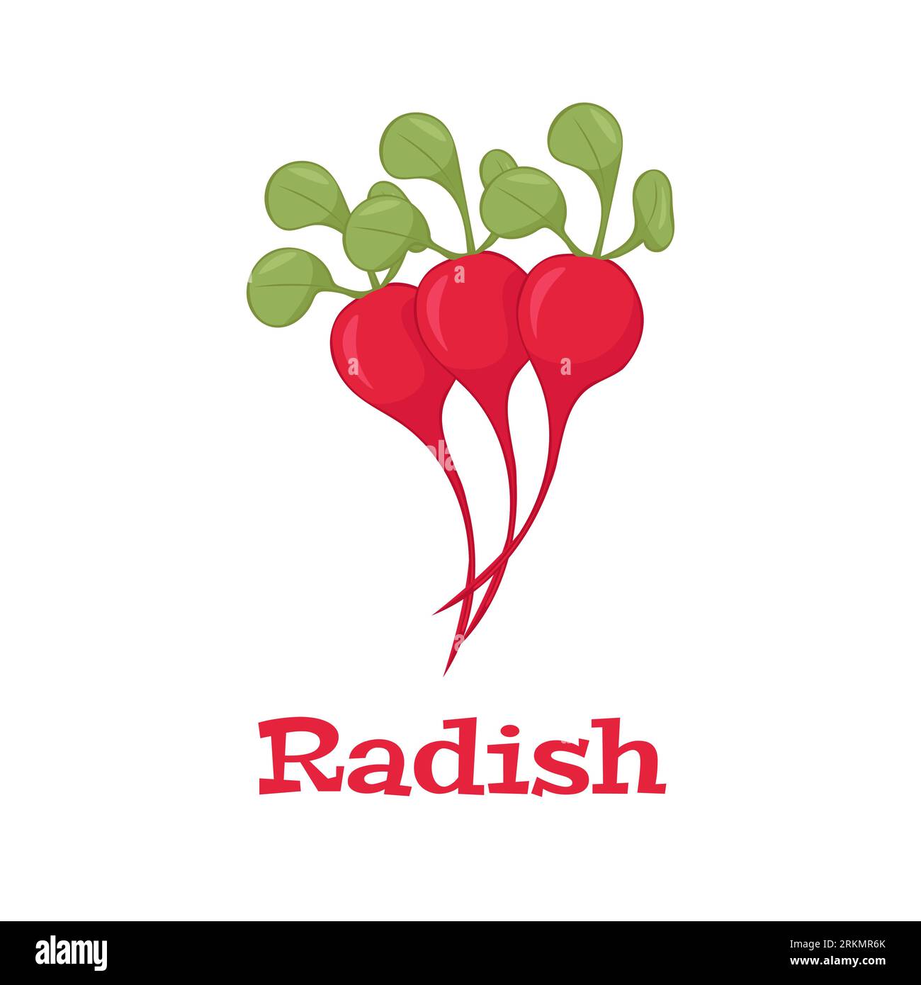 Radish isolated icon on white background. Radish vector illustration ...