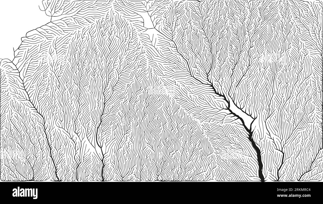 Growth pattern. Generative branching structure. Organic net of vessels ...