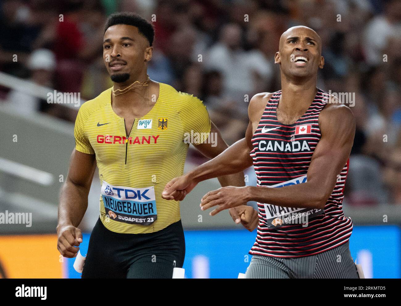 Damien Ciel Leonhardt