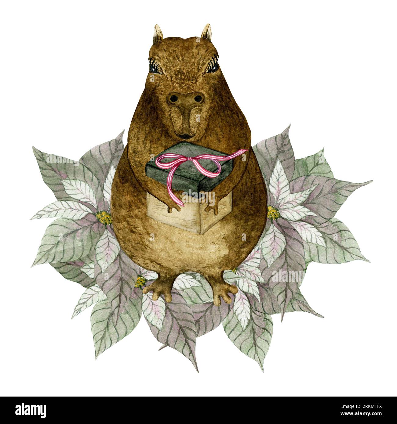Cute South American animal. Capybara. Christmas gift. Poinsettia ...