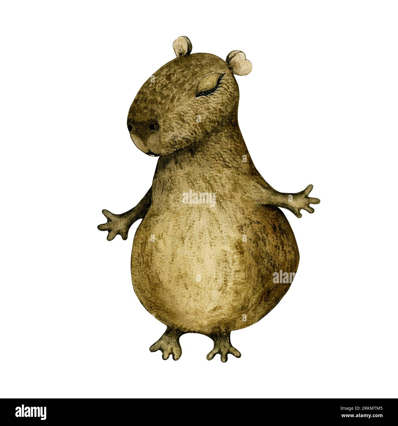 Animals of south america Cut Out Stock Images & Pictures - Alamy