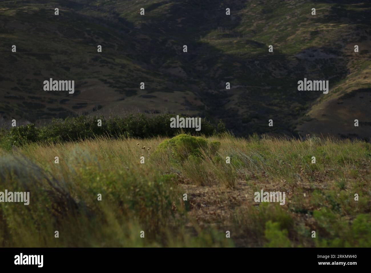 Cool canyon pictures hi-res stock photography and images - Alamy