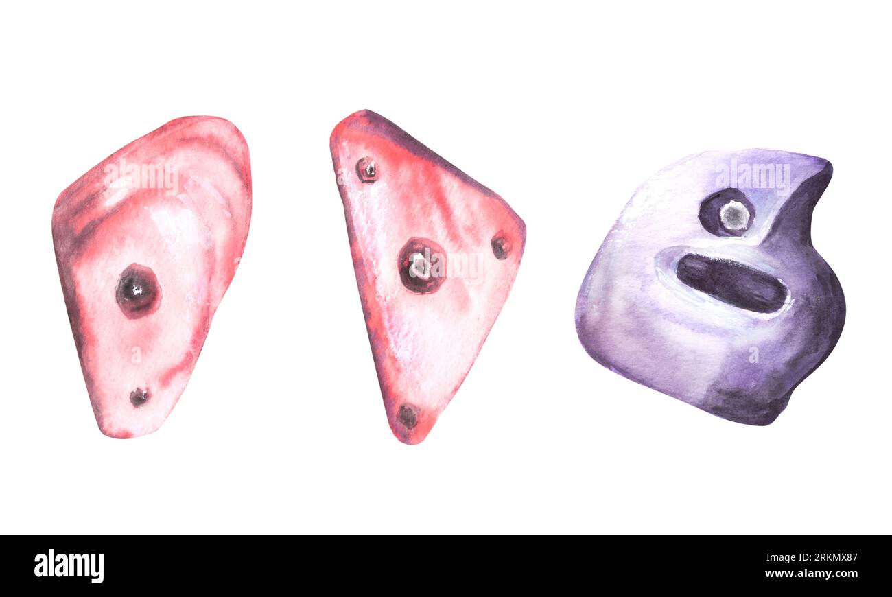 Boulder pink purple stones set. Holds for rock climbing on a wall in ...