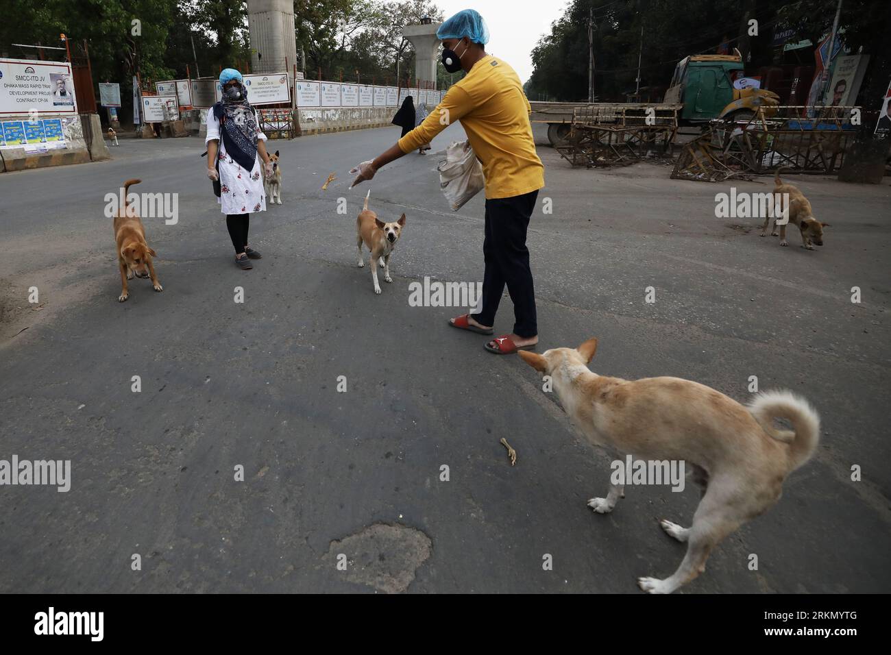 DHAKA, BANGLADESH - MARCH 26, 2020: Volunteers feed street dogs as ...