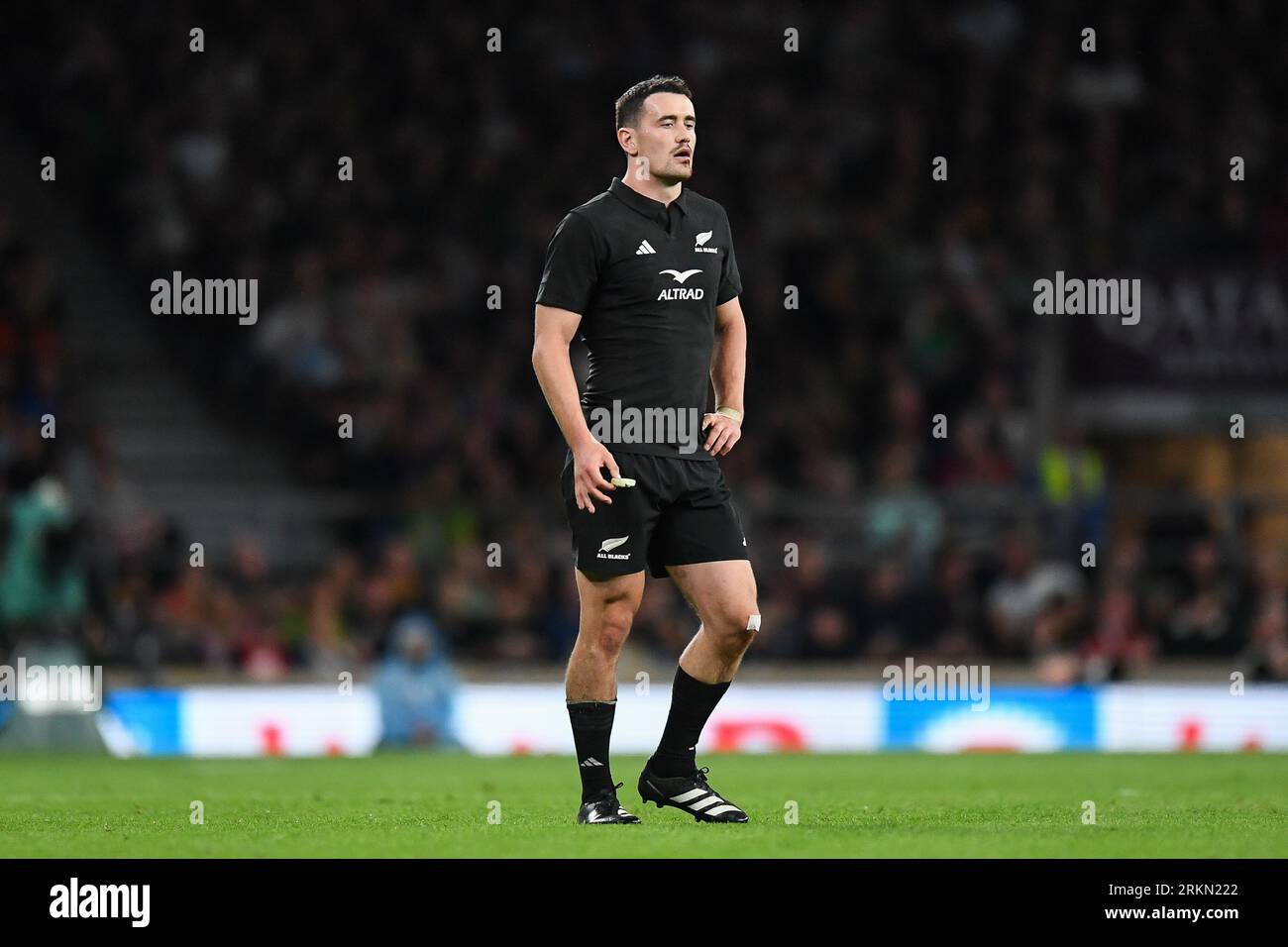 Will jordan new zealand hi-res stock photography and images - Alamy