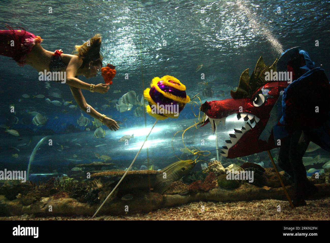 Underwater dragon dance hi-res stock photography and images - Alamy