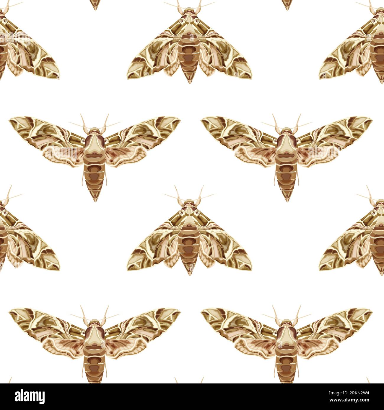 Seamless pattern with Oleander Hawk-Moth. Nocturnal tropical butterfly ...