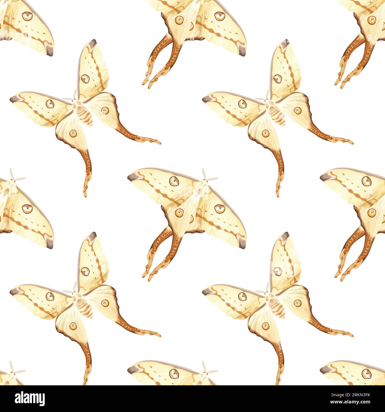 Luna moth. Tropical seamless pattern with white butterfly. Stock vector ...