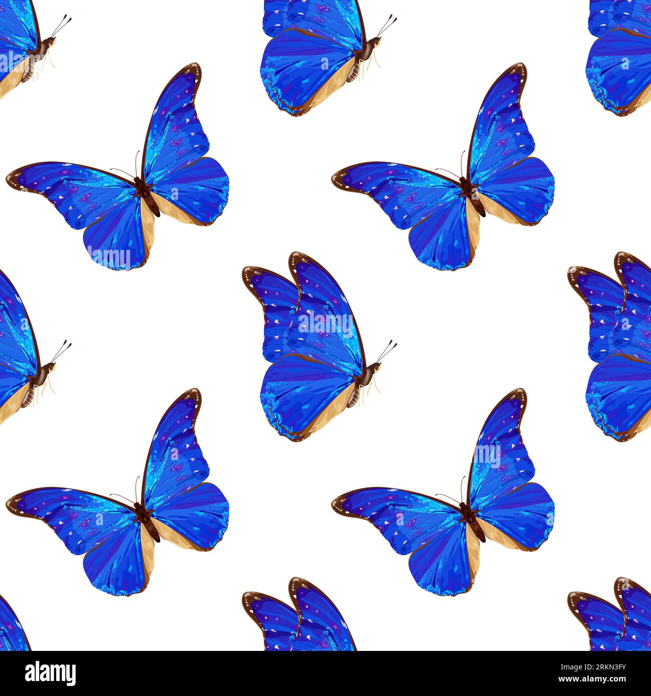 Morpho butterfly closeup Stock Vector Images - Alamy