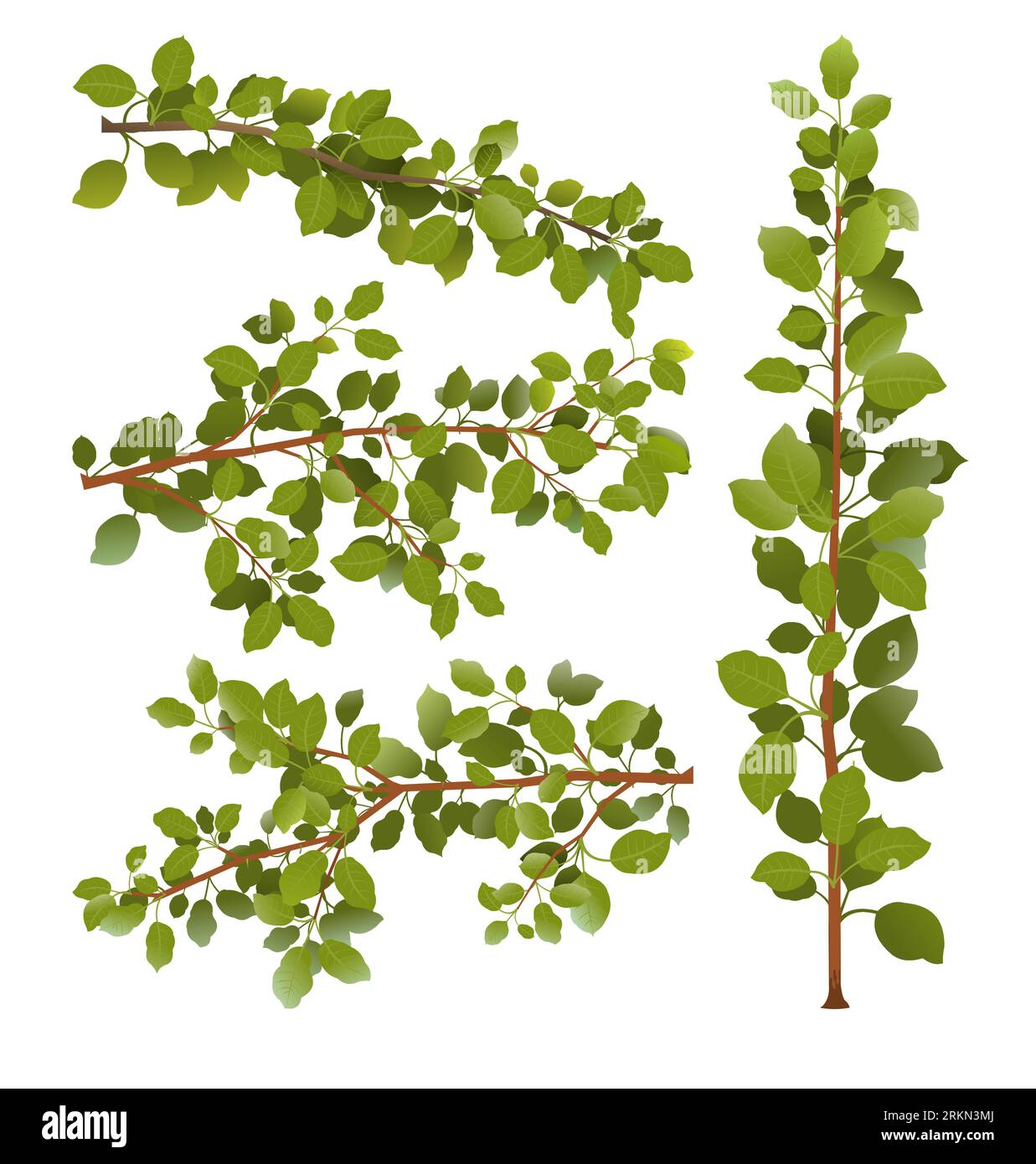 Set of branches with green leaves. Parts of landscape forest or garden ...