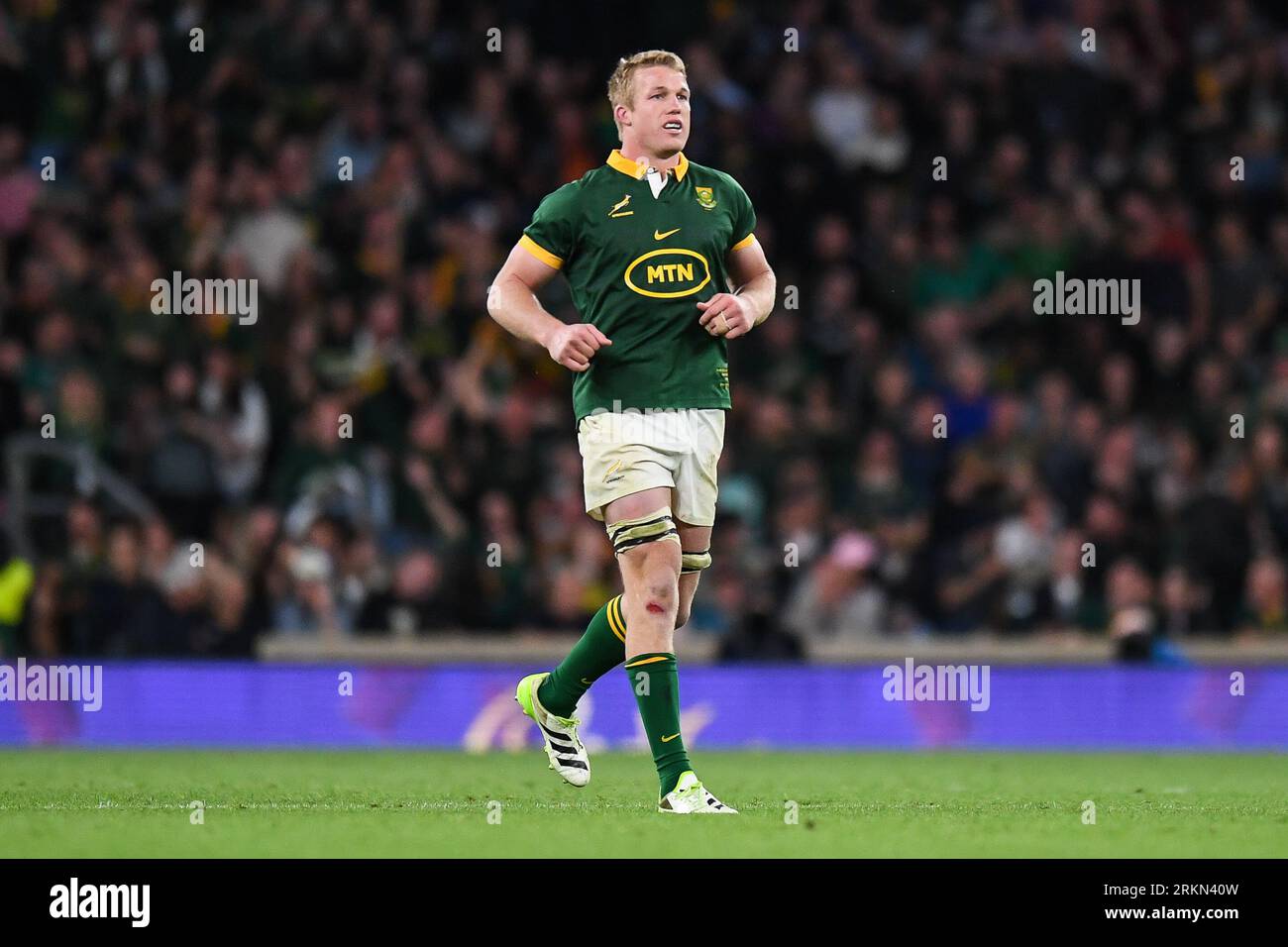 Pieter steph du toit hi-res stock photography and images - Alamy