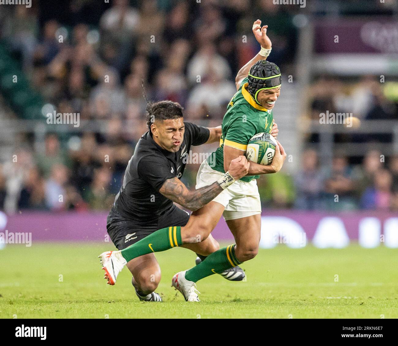 Kurt lee arendse 2023 hi-res stock photography and images - Alamy