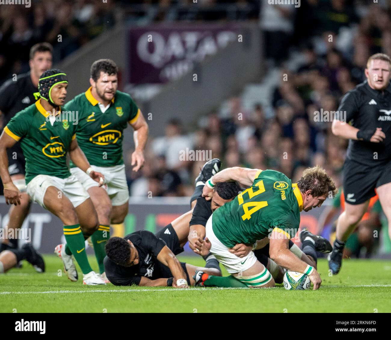 Kwagga smith springboks hi-res stock photography and images - Alamy