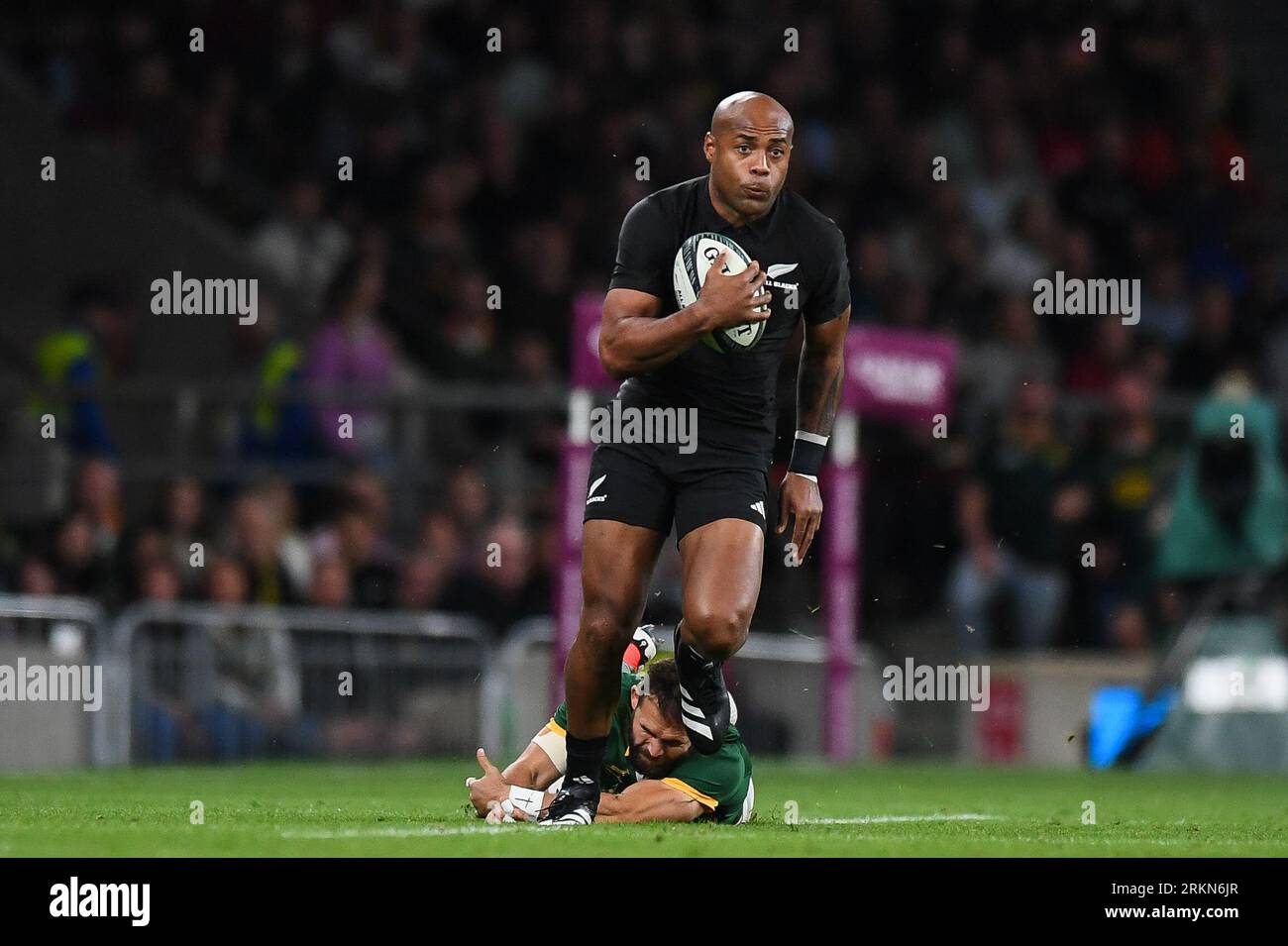 Mark telea new zealand hi-res stock photography and images - Alamy