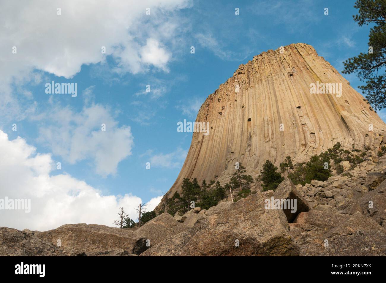 Bear lodge hi-res stock photography and images - Alamy