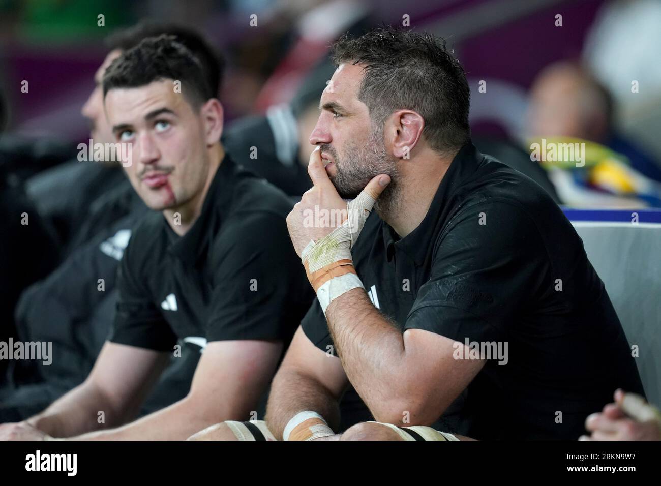 Springboks rugby bench hi-res stock photography and images - Alamy