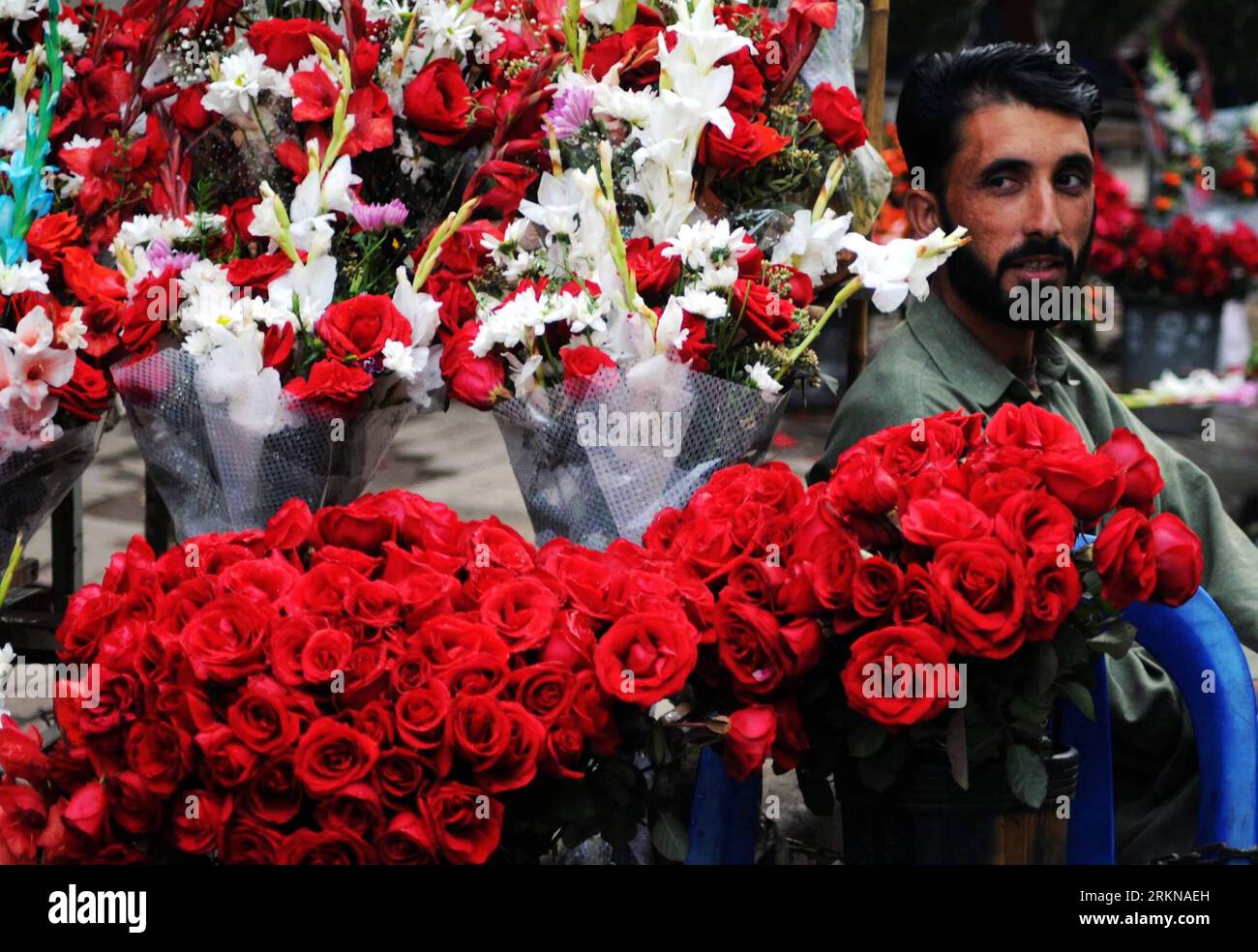 Roses in the street hi-res stock photography and images - Alamy