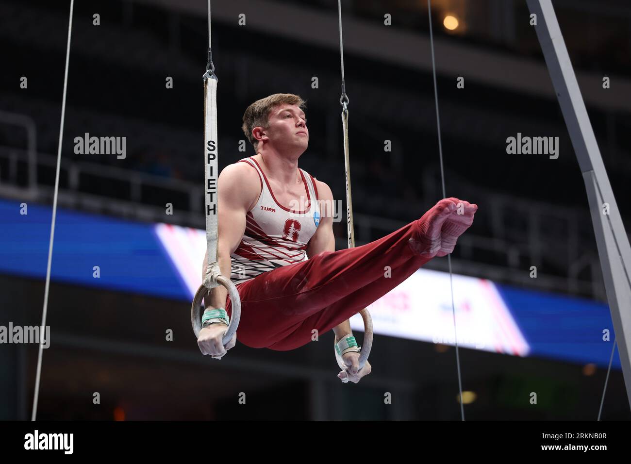 August 24, 2023: Gymnast Ian Gunther during the senior men day 1 ...