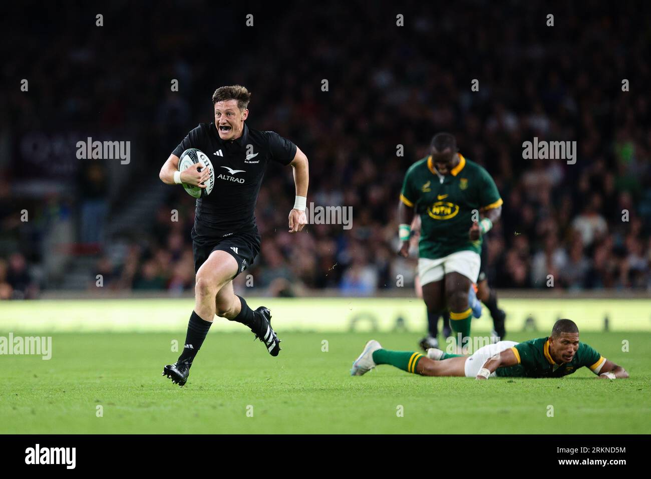 Manie libbok springboks hi-res stock photography and images - Alamy