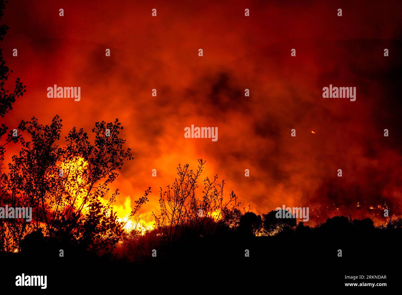 Alexandroupoli - Greece, August 21, 2023 Forest fires in the prefecture ...