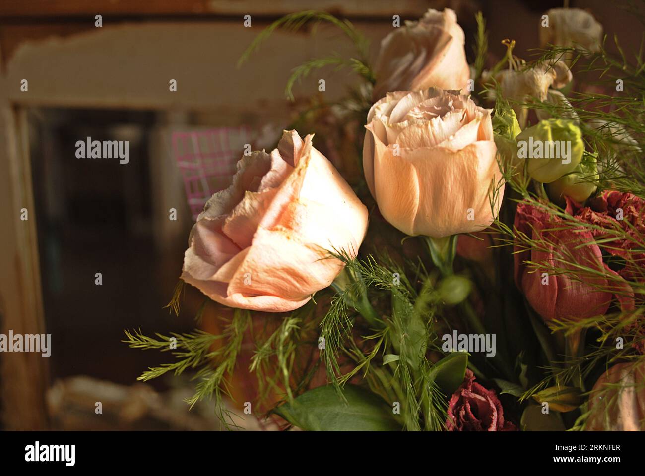 Felicidad en flor hi-res stock photography and images - Alamy