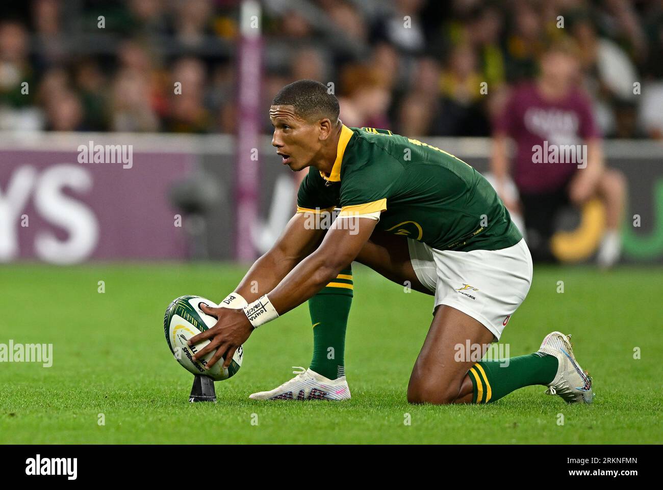 South africa new zealand rugby kick hi-res stock photography and images ...